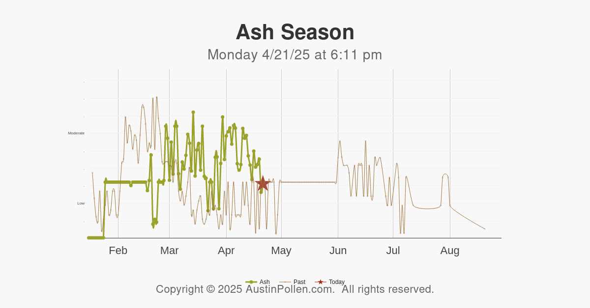 Austin Pollen | Austin pollen count allergy mold cedar ragweed new