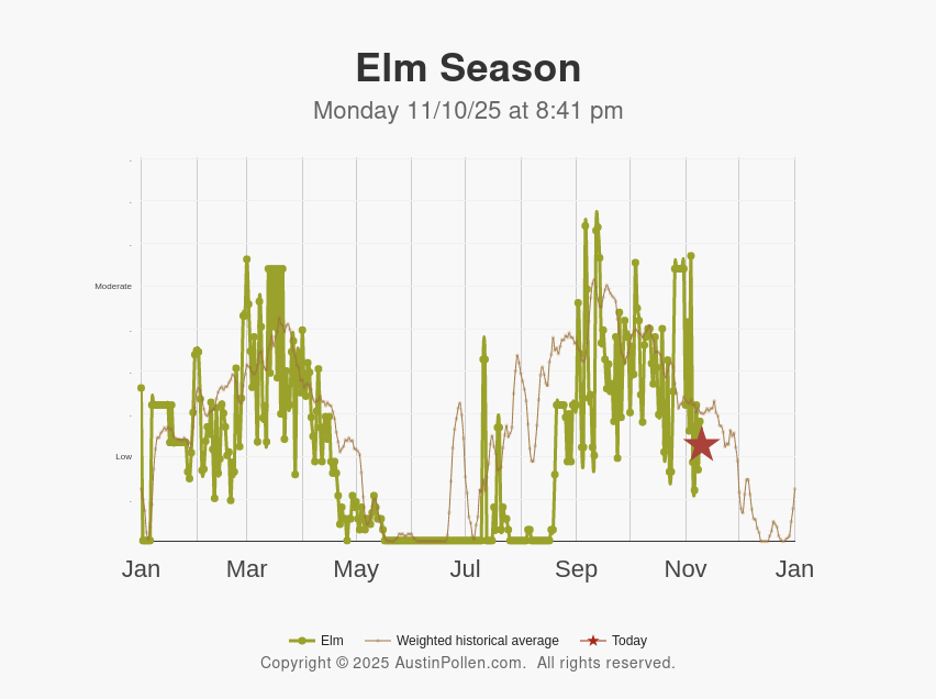 Austin Pollen | Elm pollen count history average trend allergy