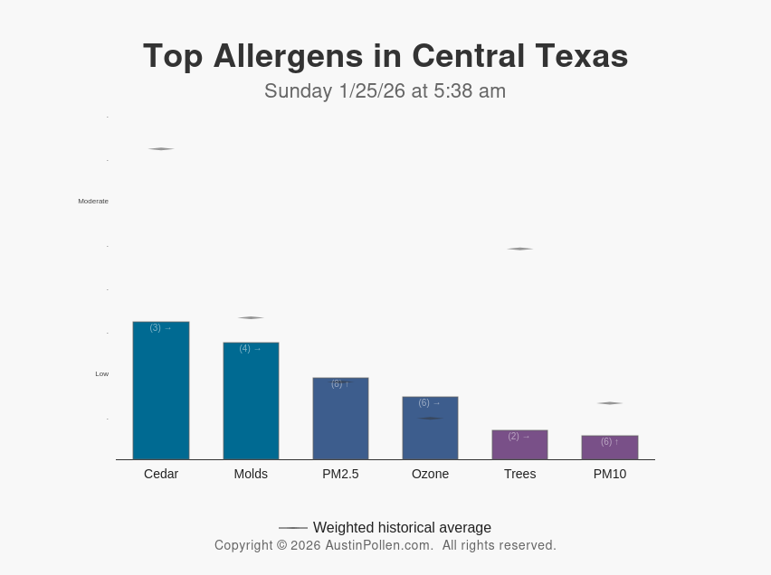 Austin Pollen | Austin pollen count allergy cedar mold ragweed oak