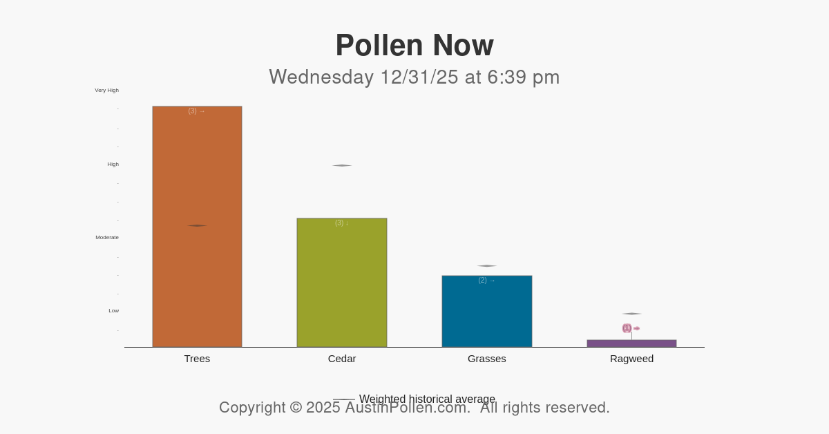 Austin Pollen | Austin pollen count allergy mold cedar ragweed new